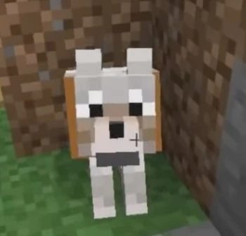 Waddles | Sqaishey Quack Wiki | Fandom