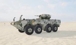 ZSL10 - Official Squad Wiki