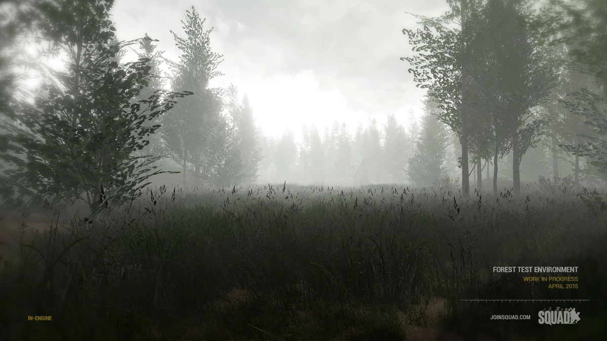 Forest - Official Squad Wiki