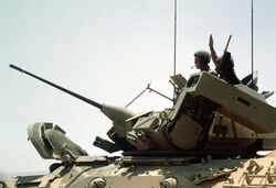 M242 Bushmaster - Official Squad Wiki