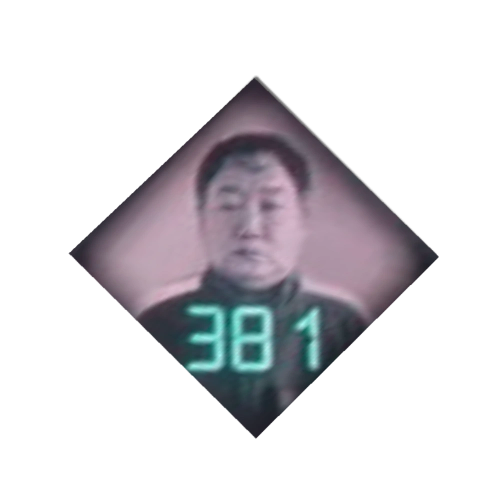 Player 381 (2020) | Squid Game’ Players Wiki | Fandom