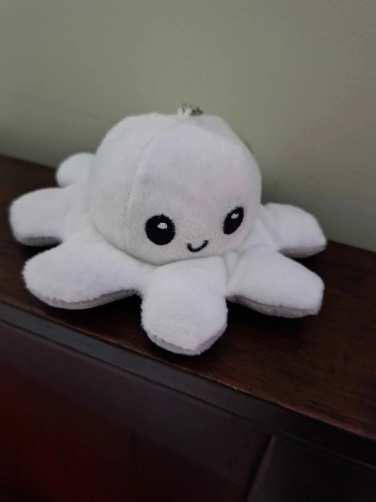 Baley Octopus | Squid Sunday Wiki | Fandom