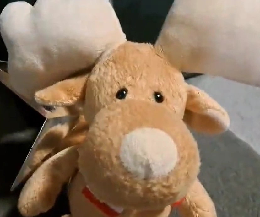 Vixen | Squid Sunday Wiki | Fandom