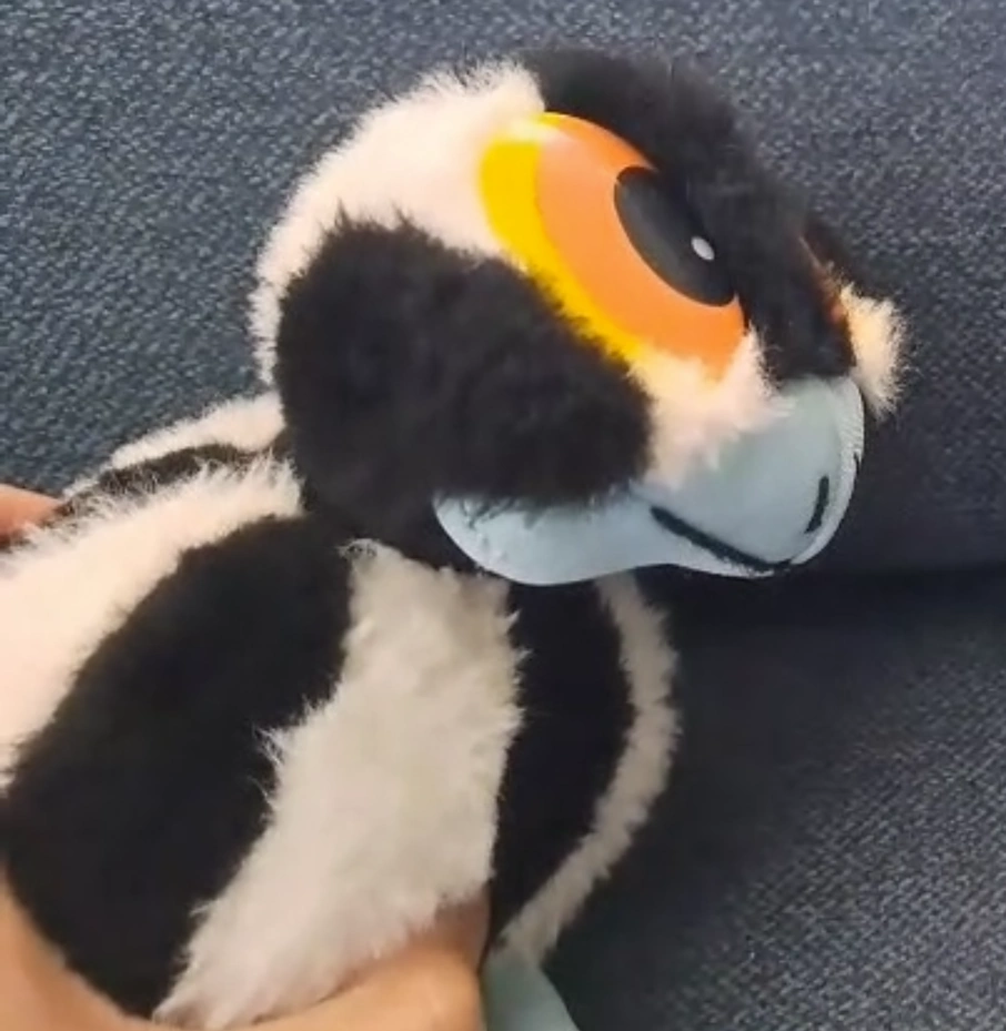 Shitting Bird | Squid Sunday Wiki | Fandom