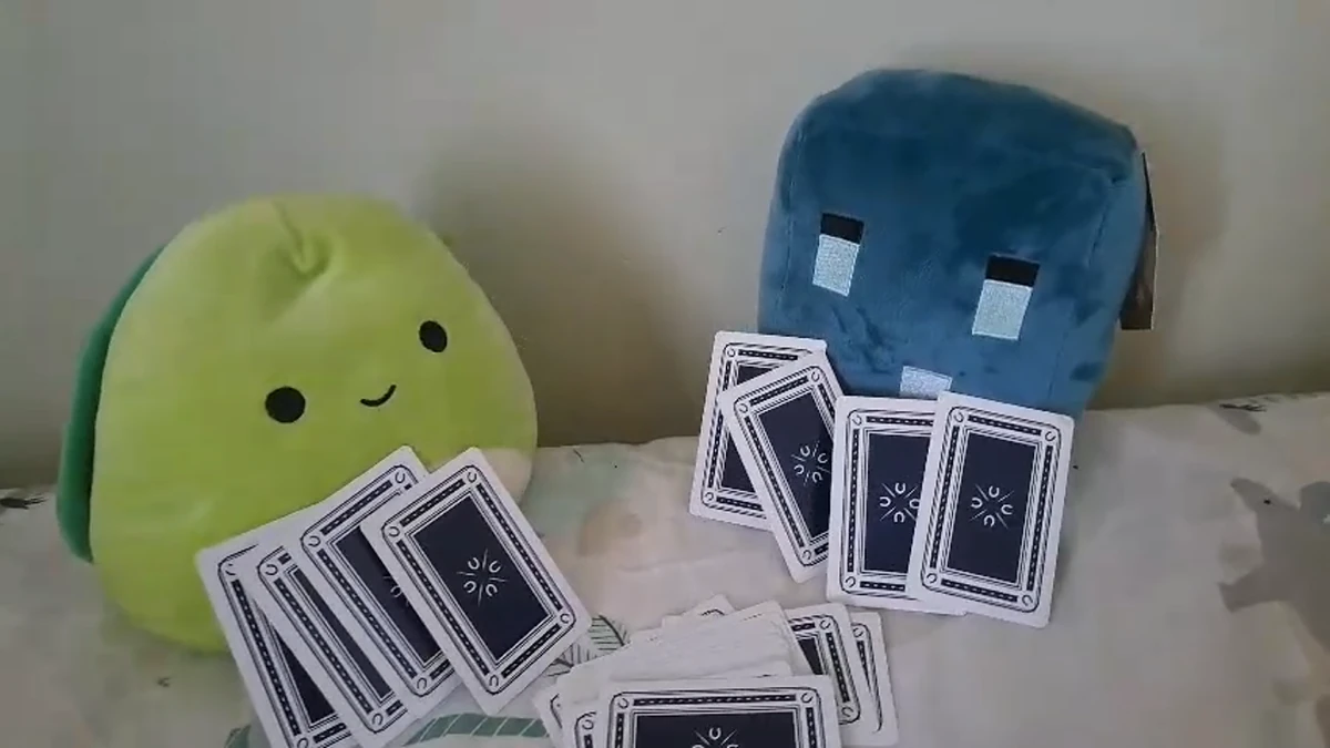 Turtle | Squid Sunday Wiki | Fandom