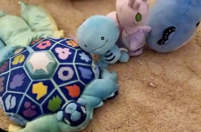 React To A Different Species | Squid Sunday Wiki | Fandom