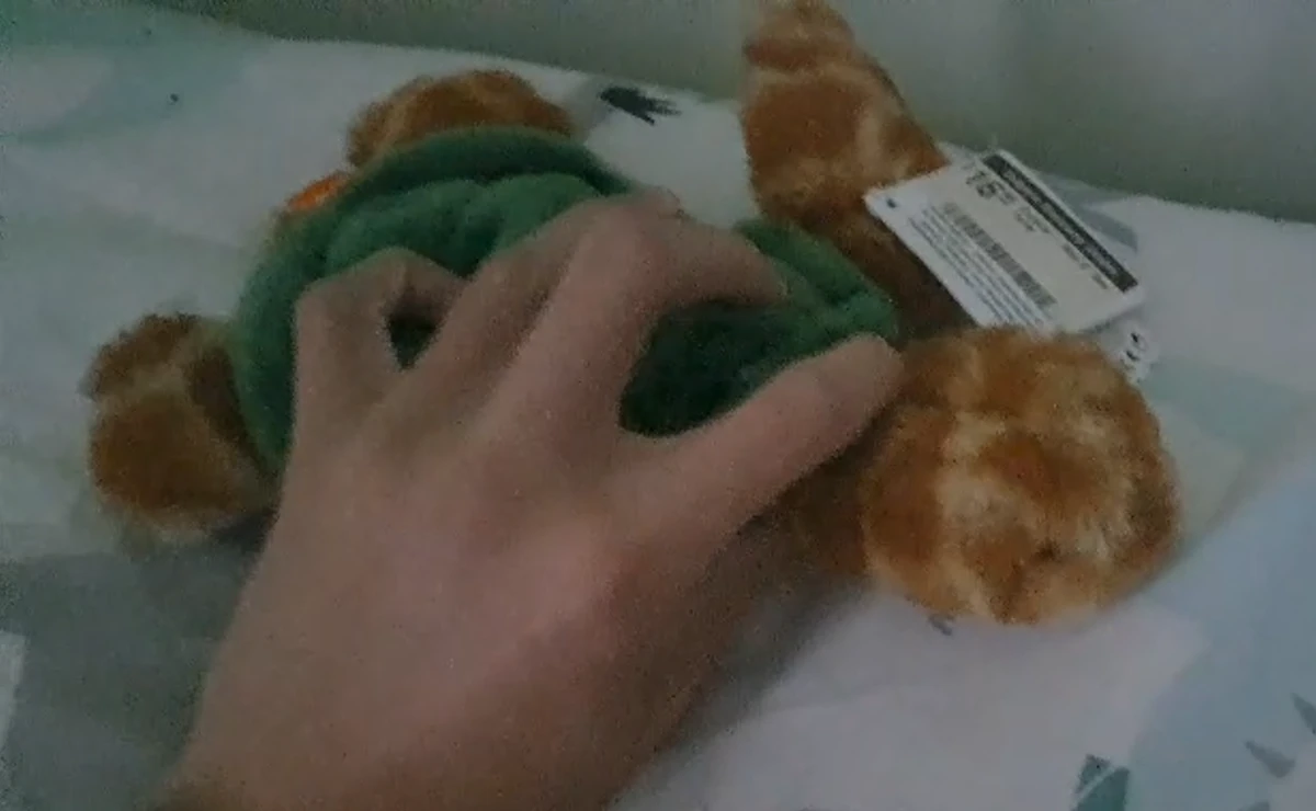 6-Year-Old Turtle | Squid Sunday Wiki | Fandom