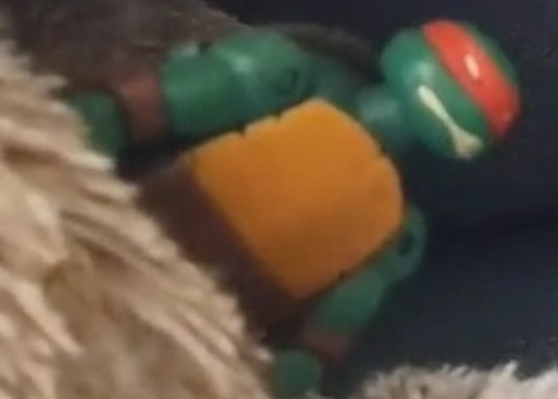 Raphael Ninja Turtle | Squid Sunday Wiki | Fandom
