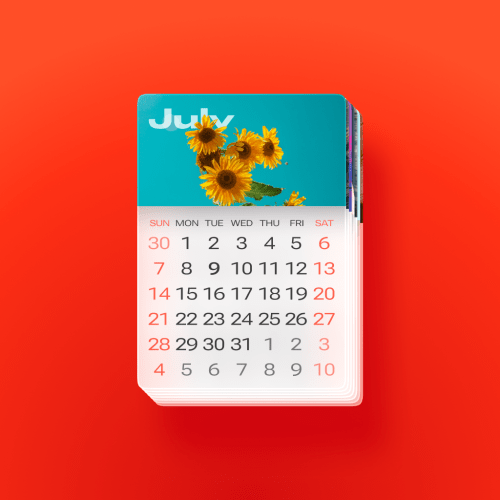 Festivo | Squircles Wiki | Fandom