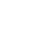 Squircles Wiki | Fandom