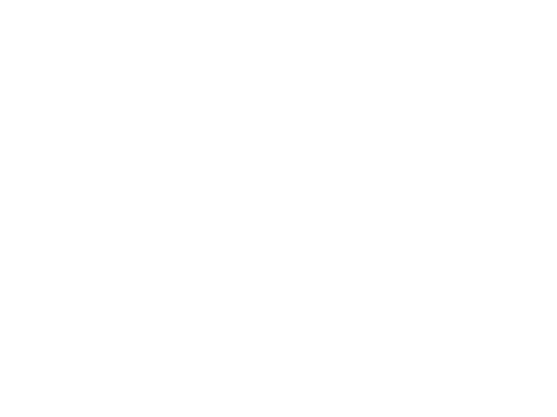 Squircles Wiki Fandom