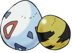 Egg | Squirtle Wiki | Fandom