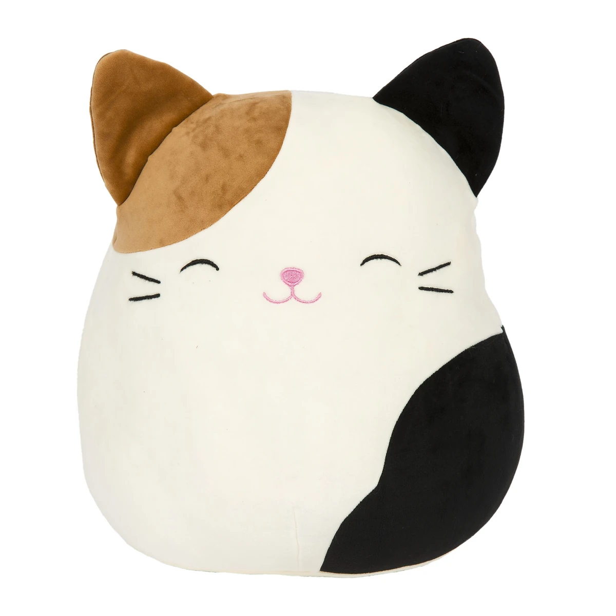 Cameron | Squishmallowpedia Wiki | Fandom