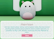 Harrison | Squishmallows On Roblox Wiki | Fandom