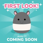 Abbitt | Squishmallows Wiki | Fandom