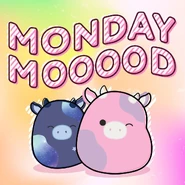 Patty | Squishmallows Wiki | Fandom