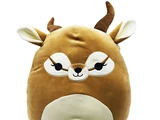 Category:Desert Squad | Squishmallows Wiki | Fandom