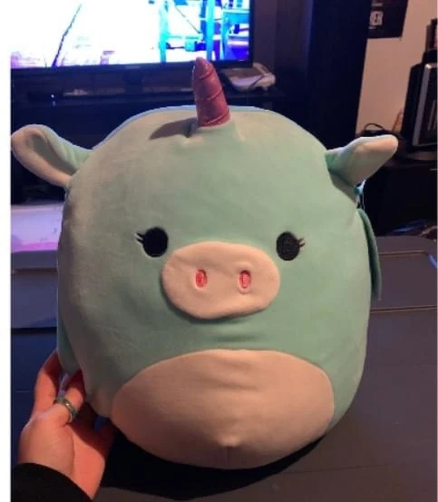 Jake | Squishmallows Wiki | Fandom