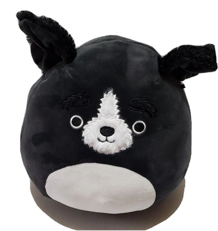 Paulie | Squishmallows Wiki | Fandom