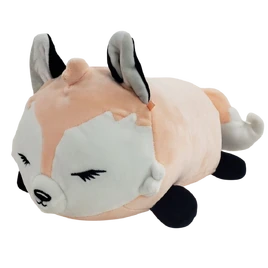 Quinn the Fox | Squishmallows Wiki | Fandom