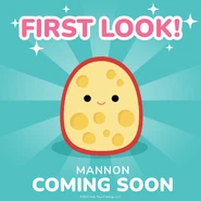 Mannon | Squishmallows Wiki | Fandom
