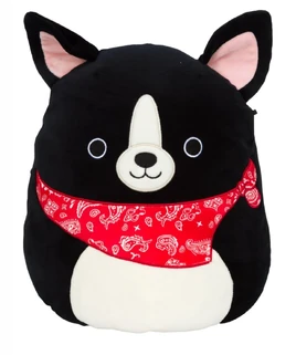 Teddy | Squishmallows Wiki | Fandom