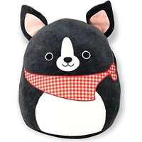 Teddy | Squishmallows Wiki | Fandom