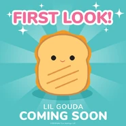 Lil Gouda | Squishmallows Wiki | Fandom
