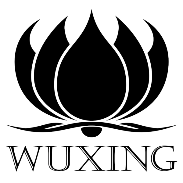 Wuxing | SR Chaos Team Wiki | Fandom