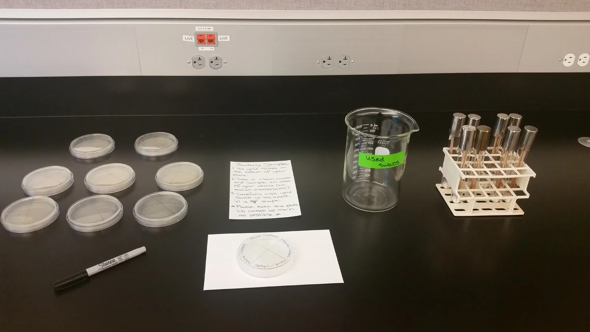 Bio 10 Lab Set-Ups | SRJCBiologyBeckonsYou Wikia | Fandom