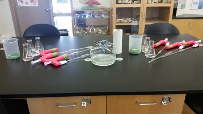 Bio 10 Water Lab Set-Ups | SRJCBiologyBeckonsYou Wikia | Fandom