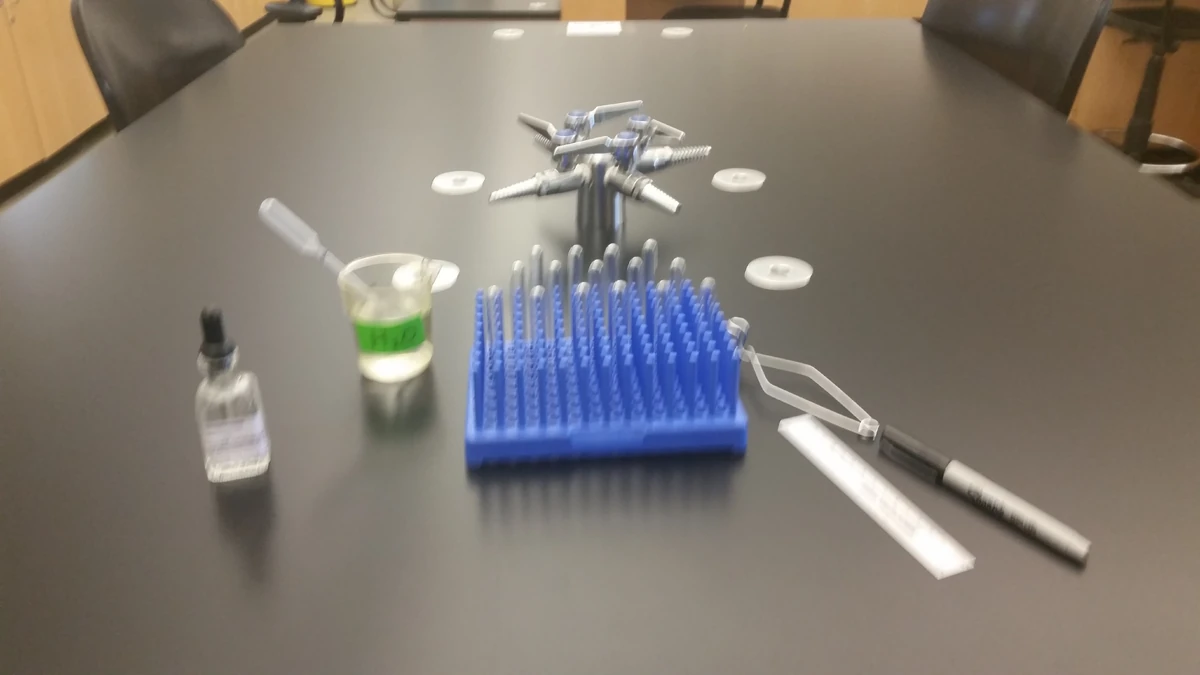 Bio 10 Enzyme Lab Set-Up | SRJCBiologyBeckonsYou Wikia | Fandom