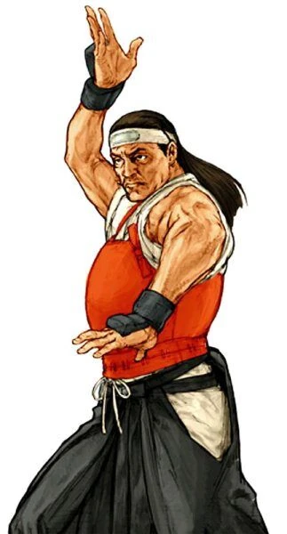 Ryuhaku Todoh | SSB Tourney Legends Wiki | Fandom