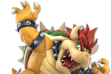 bowser brawl