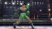 Boxing Ring | Smashpedia | Fandom