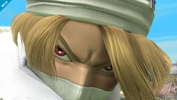 ssb4 sheik