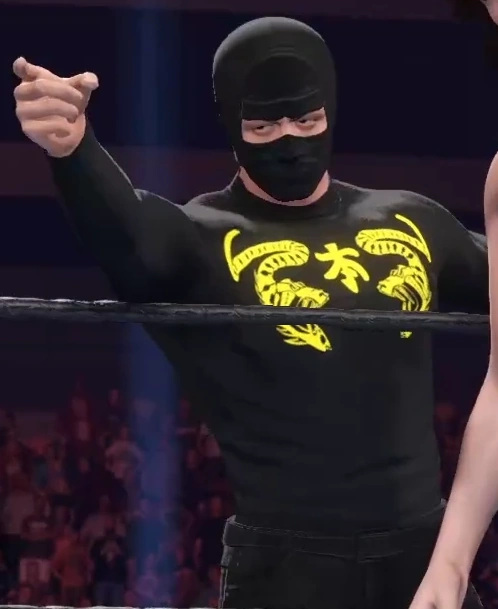 Ninja Brian | Super Smash Bros Wrestling. Wiki | Fandom