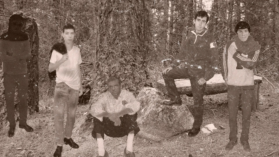 SSC Database | SSC Database Wikia | Fandom