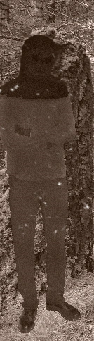 Mask | SSC Database Wikia | Fandom