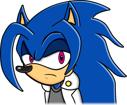 Blue the Swordsman Hedgehog | Super Smash Flash Wiki | Fandom