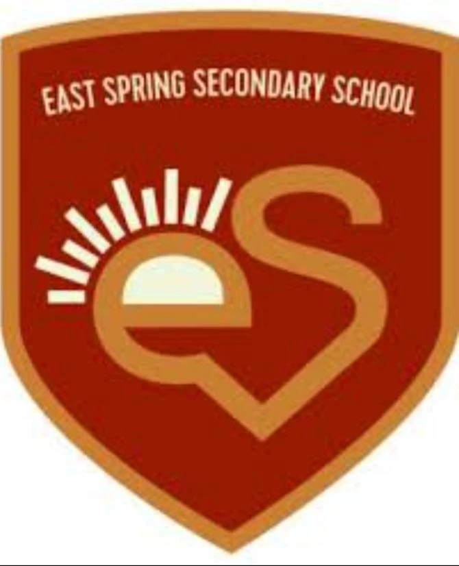 East Spring Secondary School | Fictional Secondary School Football ...