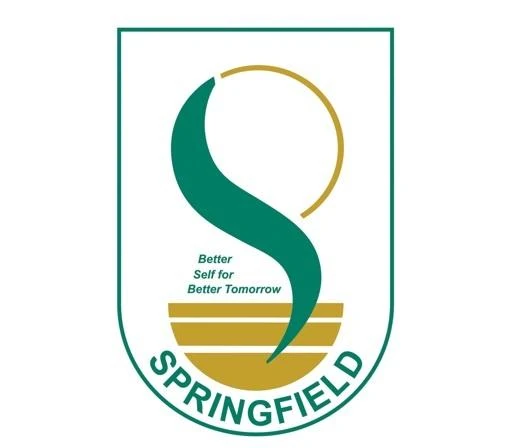 Springfield Secondary School | Fictional Secondary School Football ...