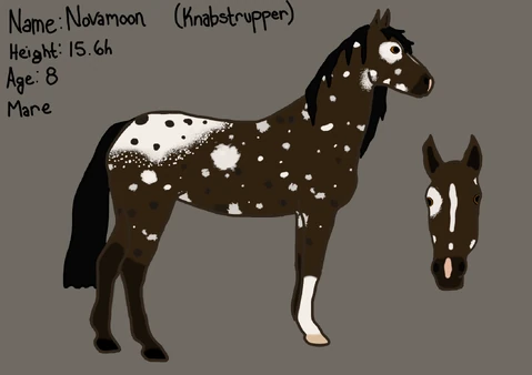 Novamoon | SSO OCs Wiki | Fandom