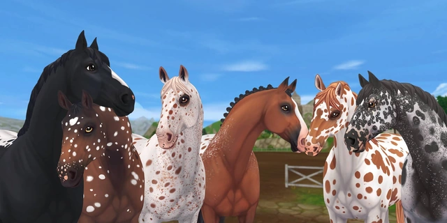 Knabstrupper | Star Stable Wiki | Fandom