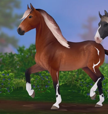 Calder | Star Stable Wiki | Fandom