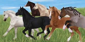 Welsh-Pony | Star Stable Wiki | Fandom