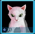 Fluffy | Star Stable Wiki | Fandom