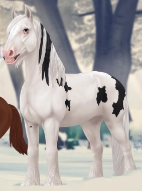 Vetle | Star Stable Wiki | Fandom