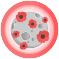 Poppy Moon | Star Stable Wiki | Fandom