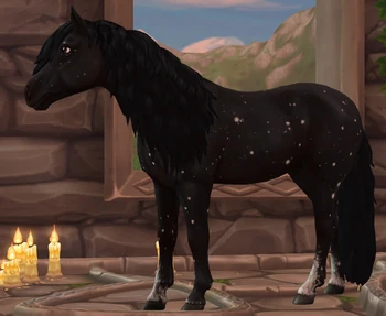 Audra | Star Stable Wiki | Fandom